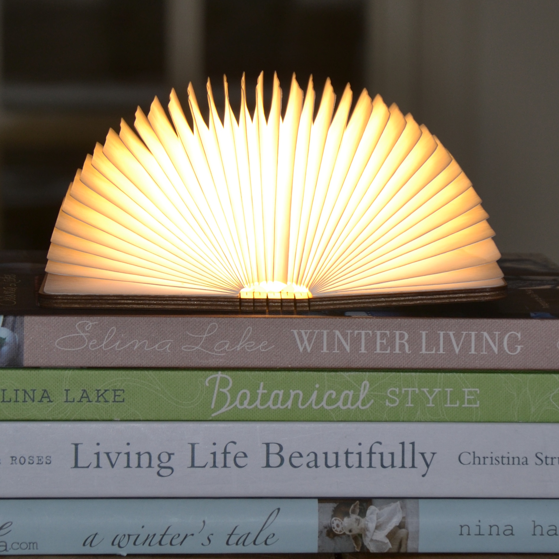 Portable Wooden Led Book Lamp - The Reed Warbler Shop