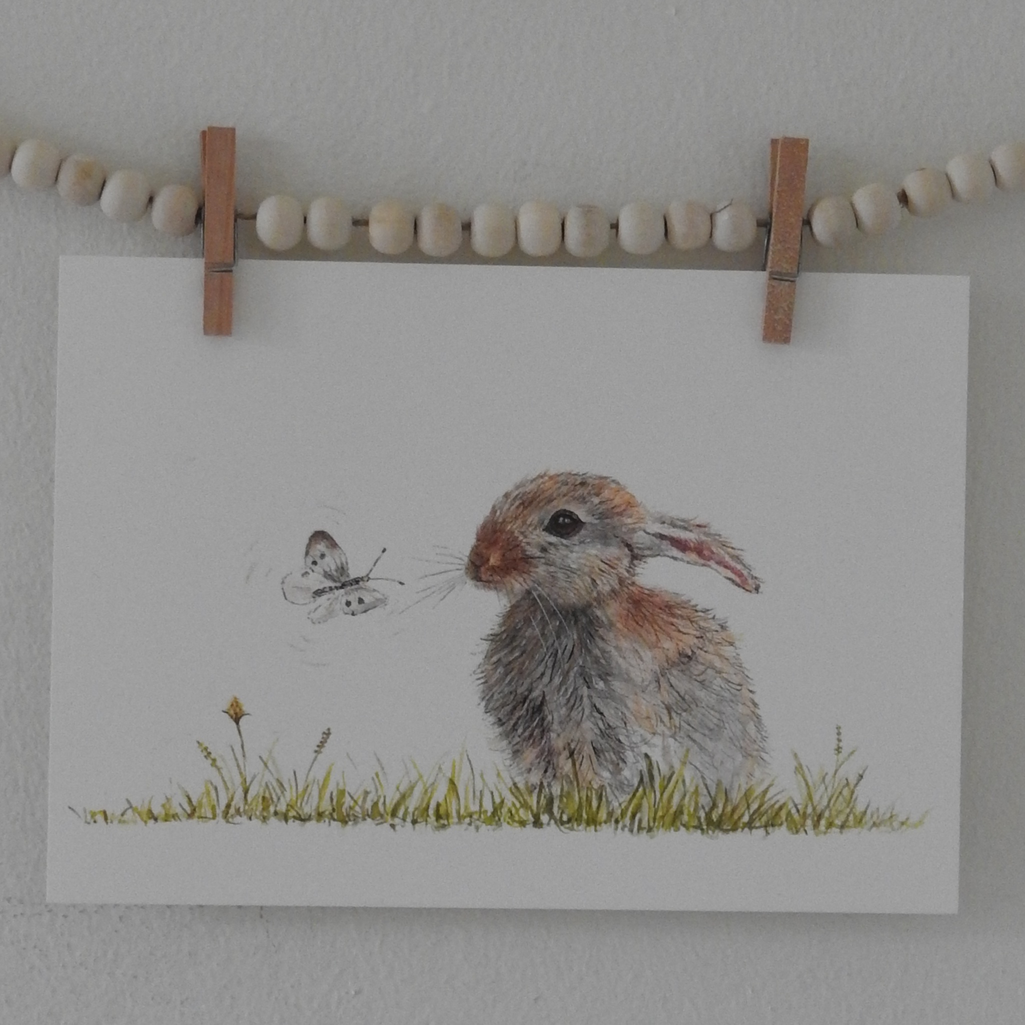 Mini Print 'Dune Rabbit with Cabbage White' - The Reed Warbler Shop